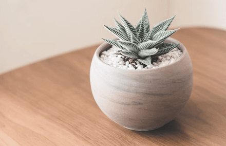 Healthcare Software Development and Consulting Services - Jelvix