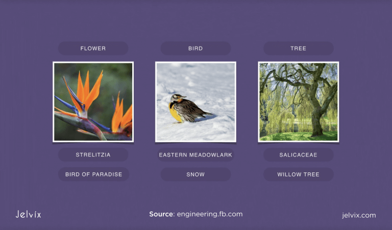 A complete guide to image recognition